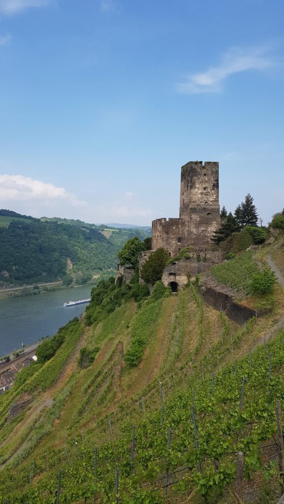 The best castles near Cologne to visit on a day trip